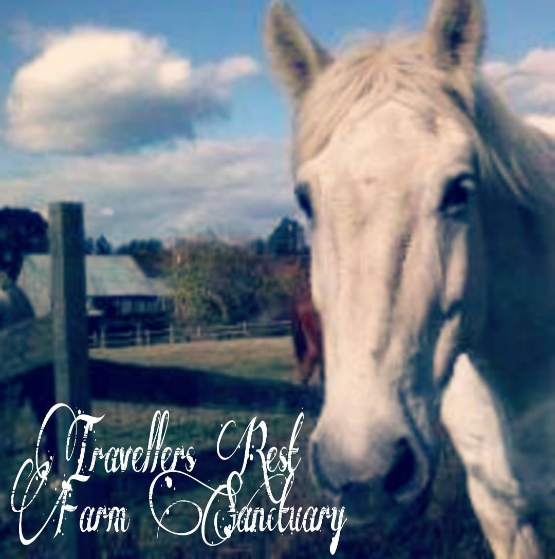 Online Donation @ Traveller's Rest Farm Sanctuary
