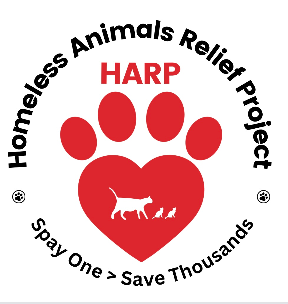 Online copay @ Homeless Animals Relief Project