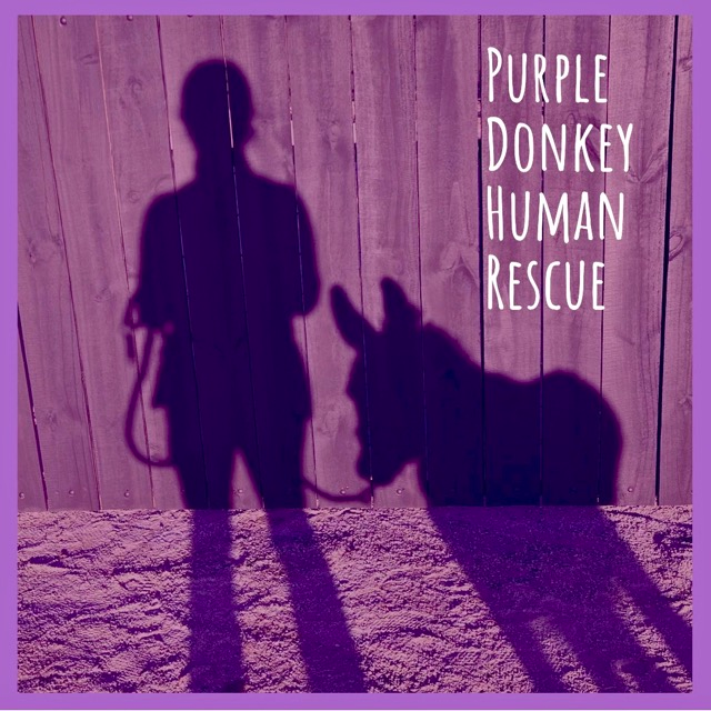 Donate to the Purple Donkeys @ Purple Donkey Human Rescue